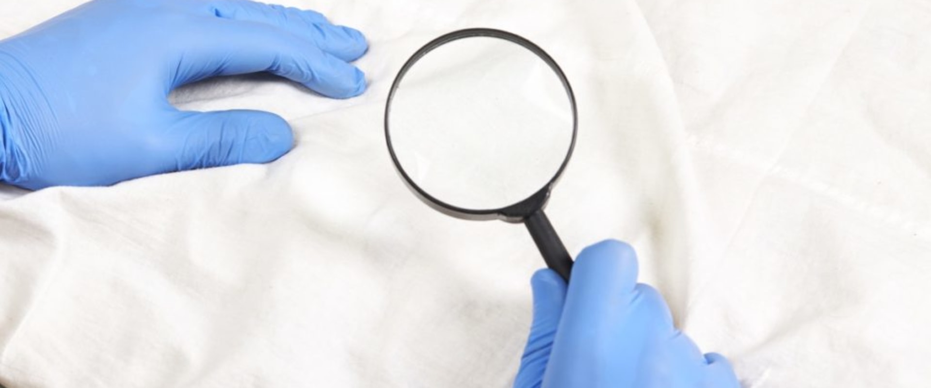 What Kills Bed Bugs Instantly Home Remedies